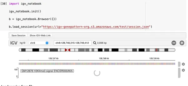 SuperNOVA: Interactive Notebook Visualization Browser